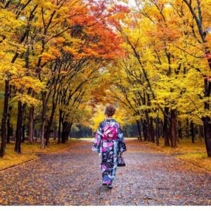 Dragon Path - Organized trips | Customized Tours for Groups